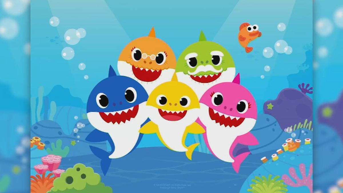 'Baby Shark' to be turned into a Nickelodeon show | Morning | wdrb.com