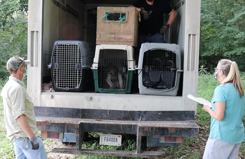 Animals from Wildlife in Need, zoo owner Tim Stark still missing ...