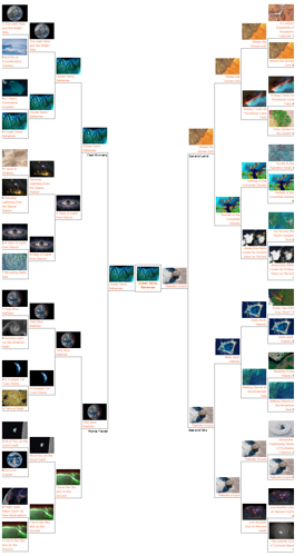 Earth Observatory Bracket - Most Beautiful Earth Images | Weather Blog ...