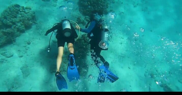 From scuba diving to zip lining, here's what you should add to your ...