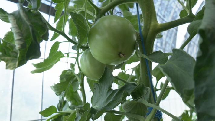 'We're waiting' | Southern Indiana farmers have been feeling the impact ...