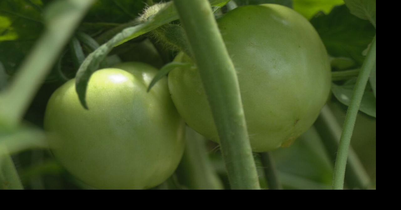 'We're waiting' | Southern Indiana farmers have been feeling the impact ...