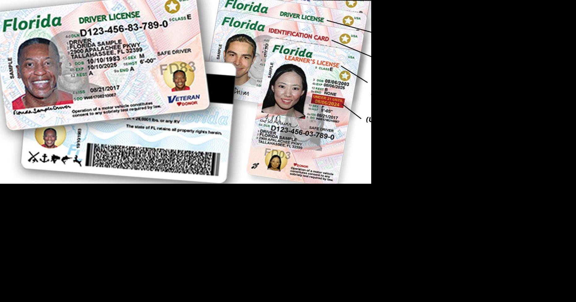 drivers permit florida