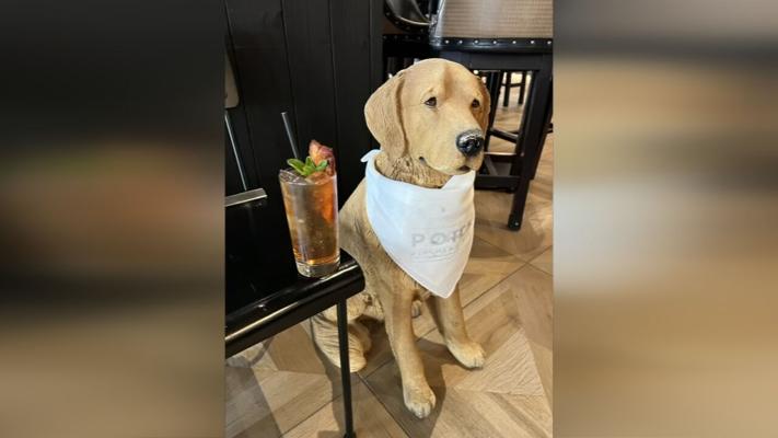 'Match made in heaven' | Porch Kitchen & Bar honors Ethan Almighty with ...