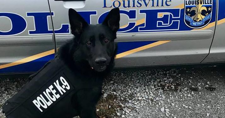 LMPD K9 now has body armor protection thanks to generous donation ...