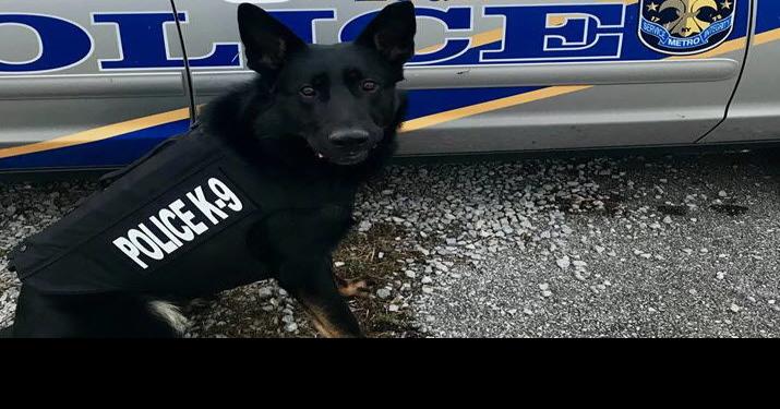 LMPD K9 now has body armor protection thanks to generous donation ...