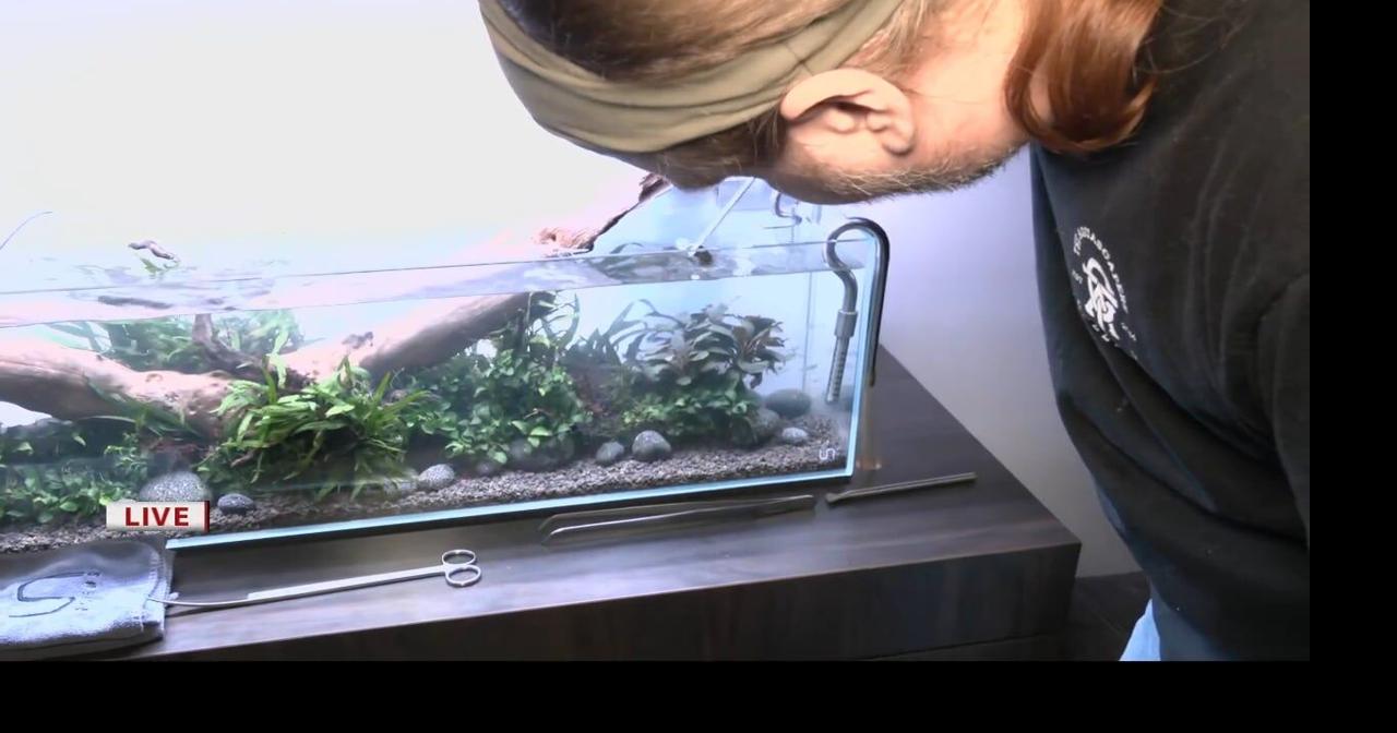 Keith Kaiser tries out some tools used for aquascaping | | wdrb.com
