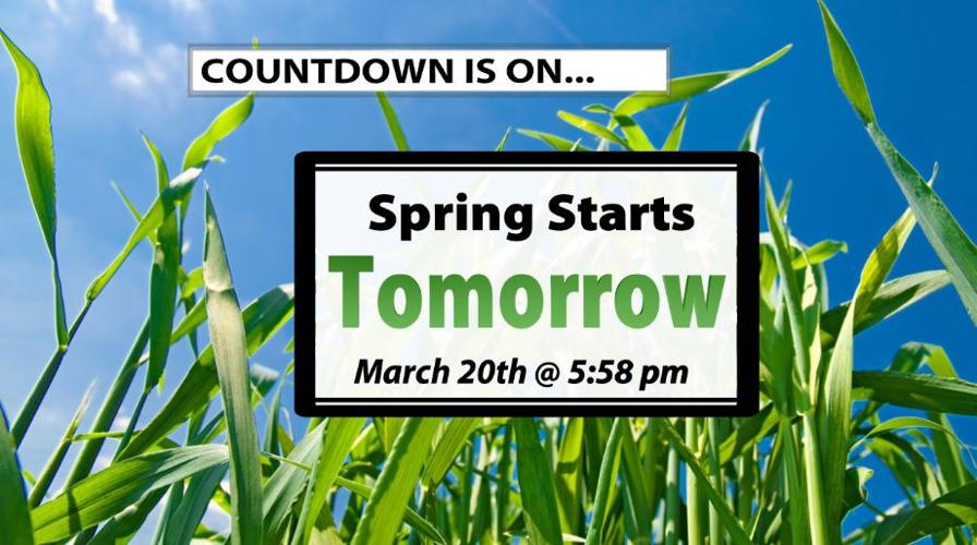 Why Spring Starts March 20th This Year | Weather Blog | wdrb.com
