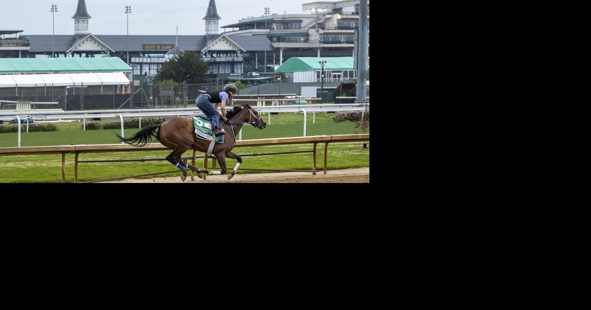 Thorpedo Anna to get follow-up at Rood & Riddle Equine Hospital after ...