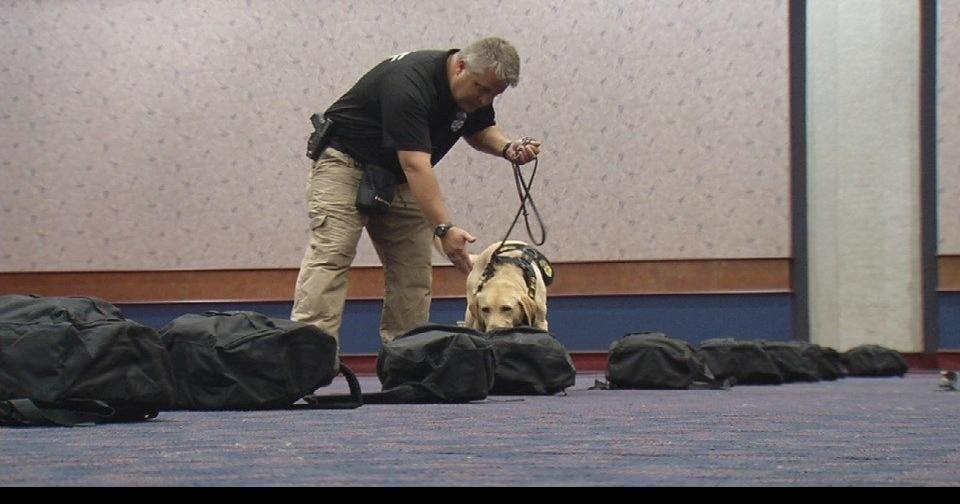 30 bomb-sniffing dogs certified at ATF training exercise in Louisville | News from WDRB | wdrb.com