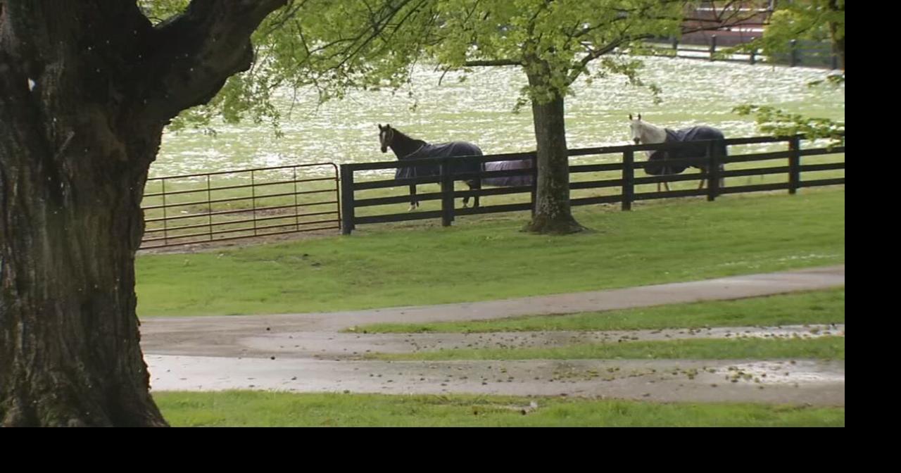 Farm for retired thoroughbred racehorses opens in Oldham County | Local ...