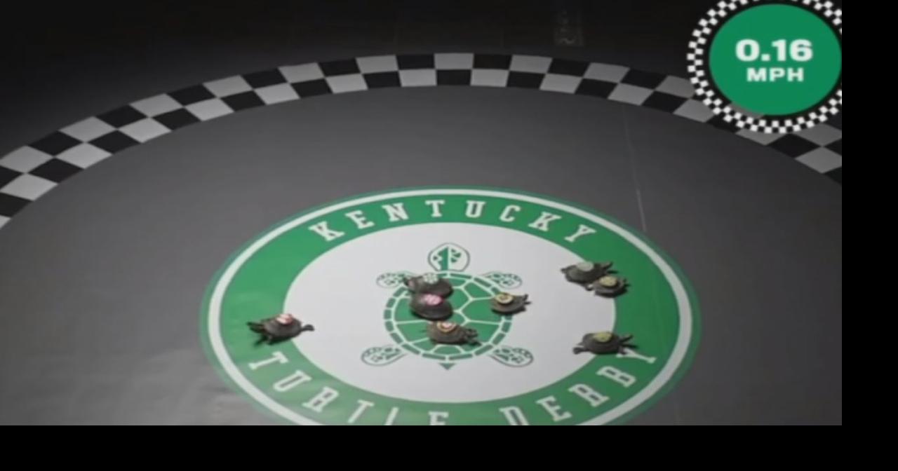 VIDEO | What The Turtleneck wins Old Forester's Kentucky Turtle Derby ...