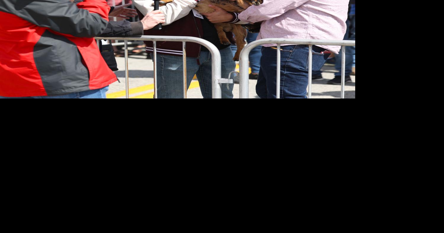 Joel Schipper interviews Bryce Jones and Jude Redfield | | wdrb.com