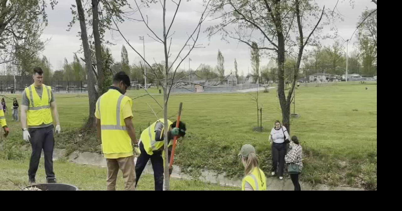 Volunteers plant trees at Petersburg Park in Louisville | Local News ...