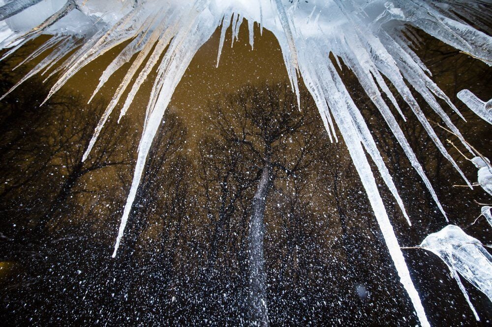 What Is Rime Ice? | | wdrb.com