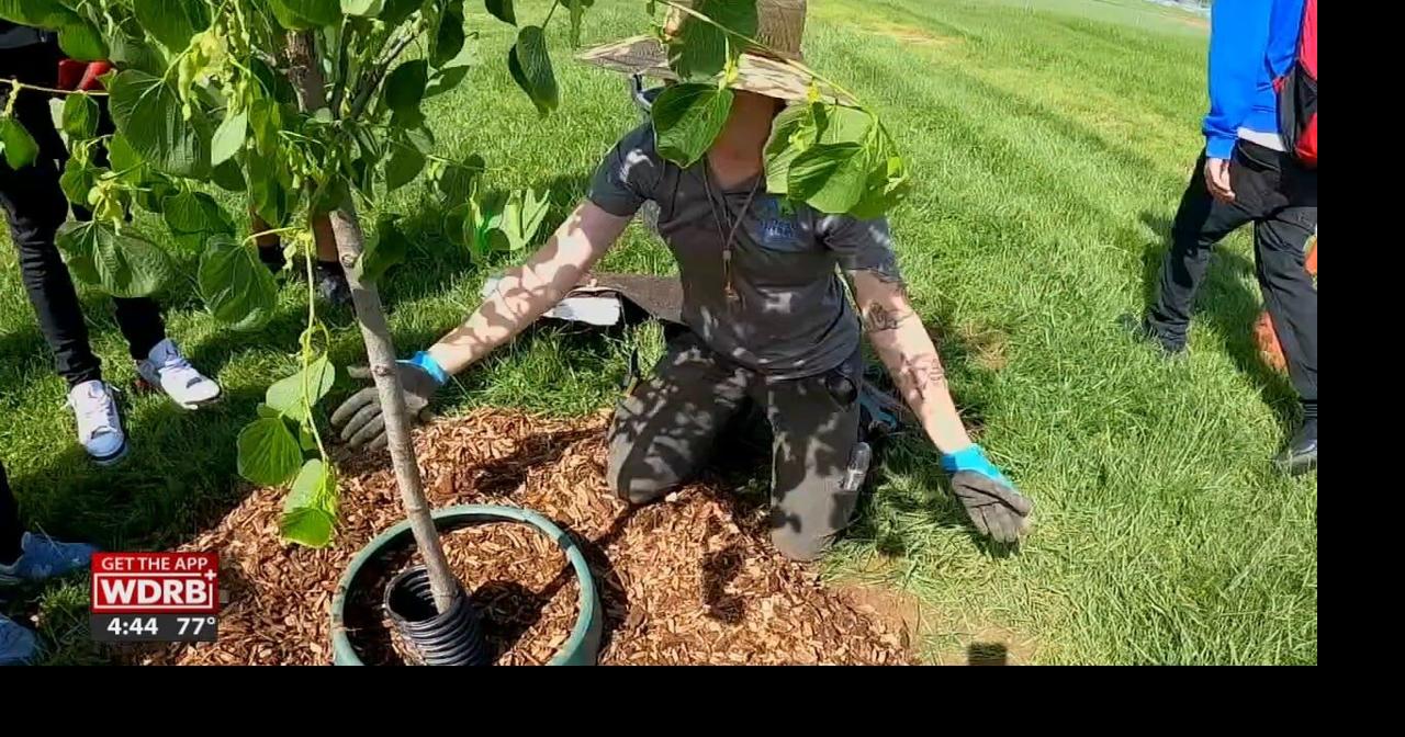 Students at Southern High School plant trees in Louisville | | wdrb.com