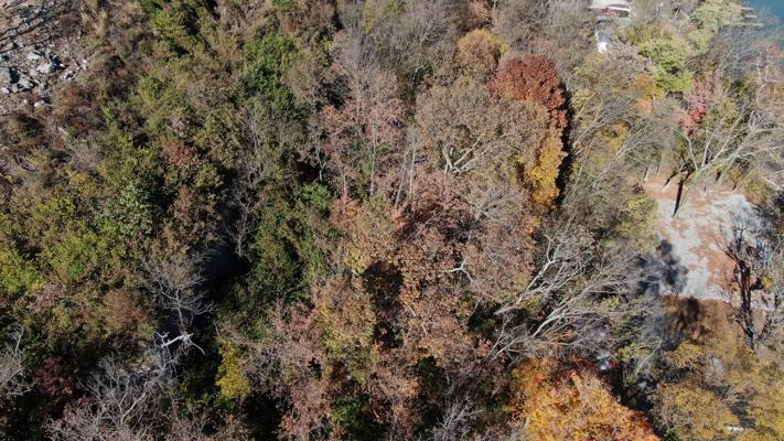'Witches Castle' | Southern Indiana property famed for urban legends up ...