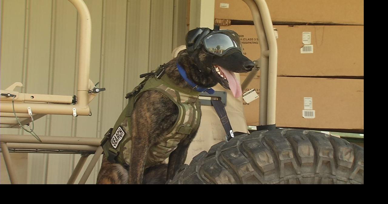 Kentucky Air National Guard shows off DOD's only search and rescue dog ...