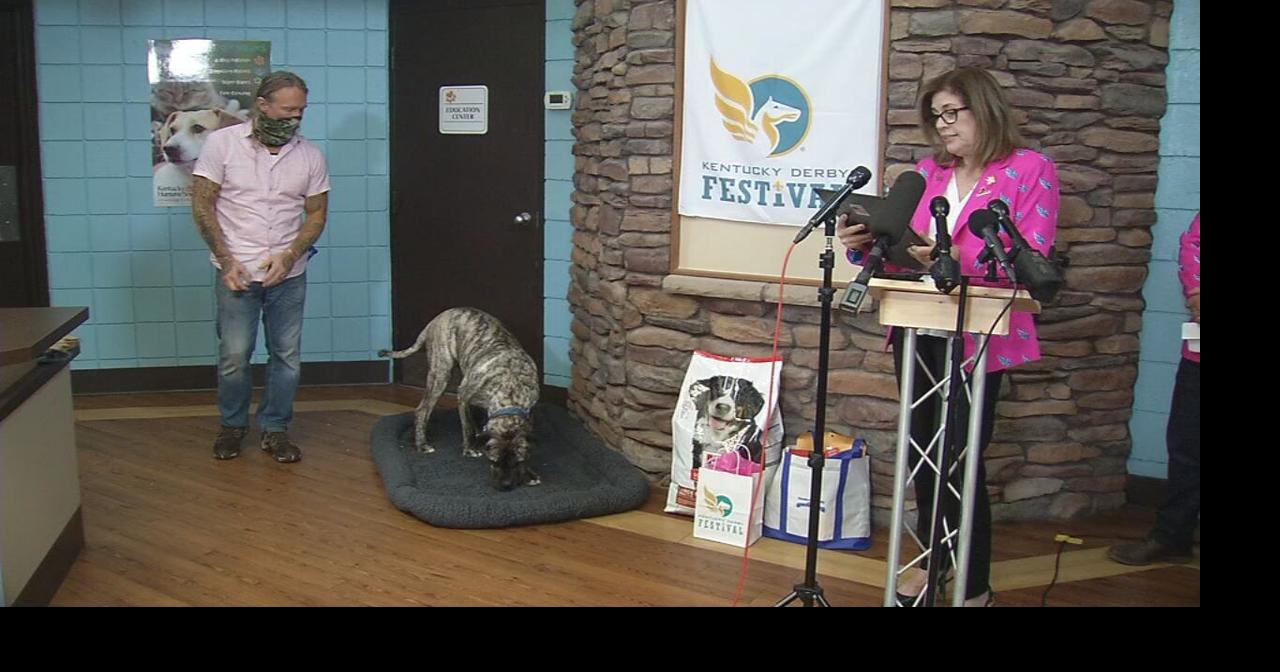 Ethan the dog named 'Compassion Ambassador' for inspiring, uplifting ...