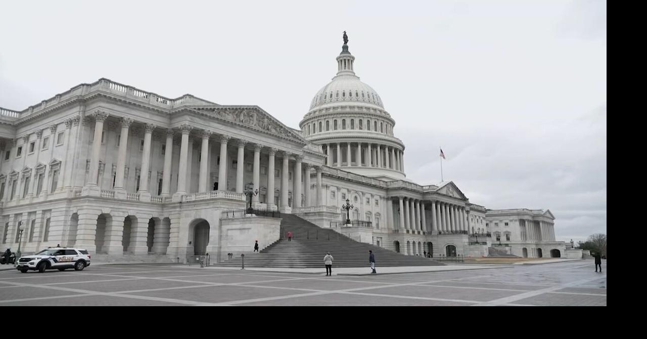 Democrats push to defund ICE as the House votes this week | Wdrb-video ...