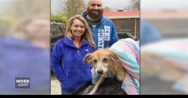 Dog missing for 8 years reunited with owners at LMAS thanks to ...