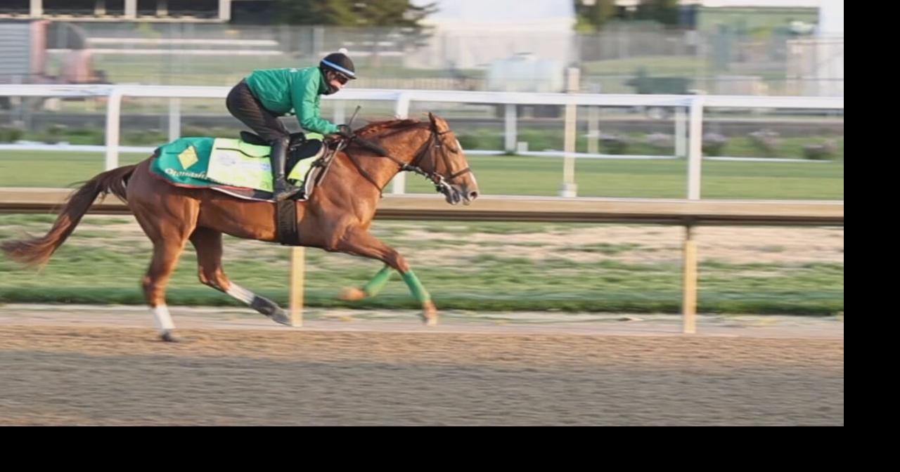 American helps Japanese team get Derma Sotogake to Kentucky Derby ...