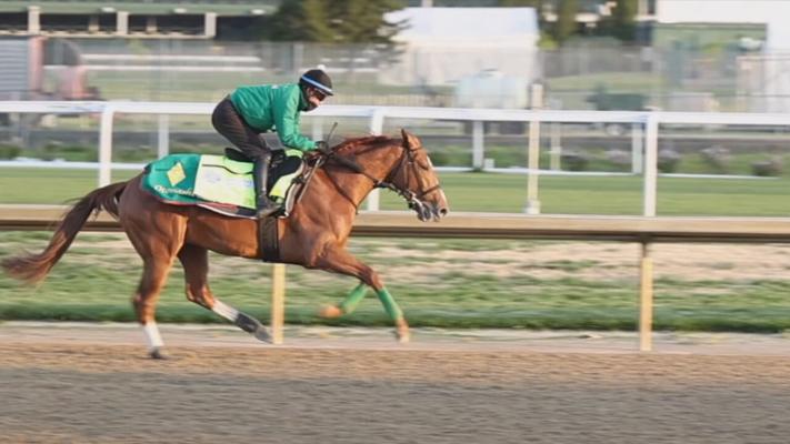 American helps Japanese team get Derma Sotogake to Kentucky Derby ...
