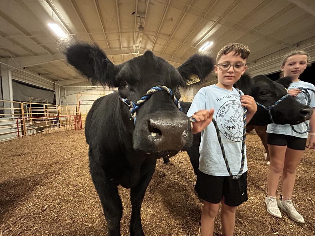 The Harrison County Fair has been celebrating the southern Indiana area for more than 160 years ...