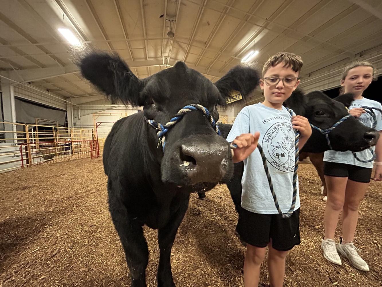 The Harrison County Fair has been celebrating the southern Indiana area for more than 160 years ...