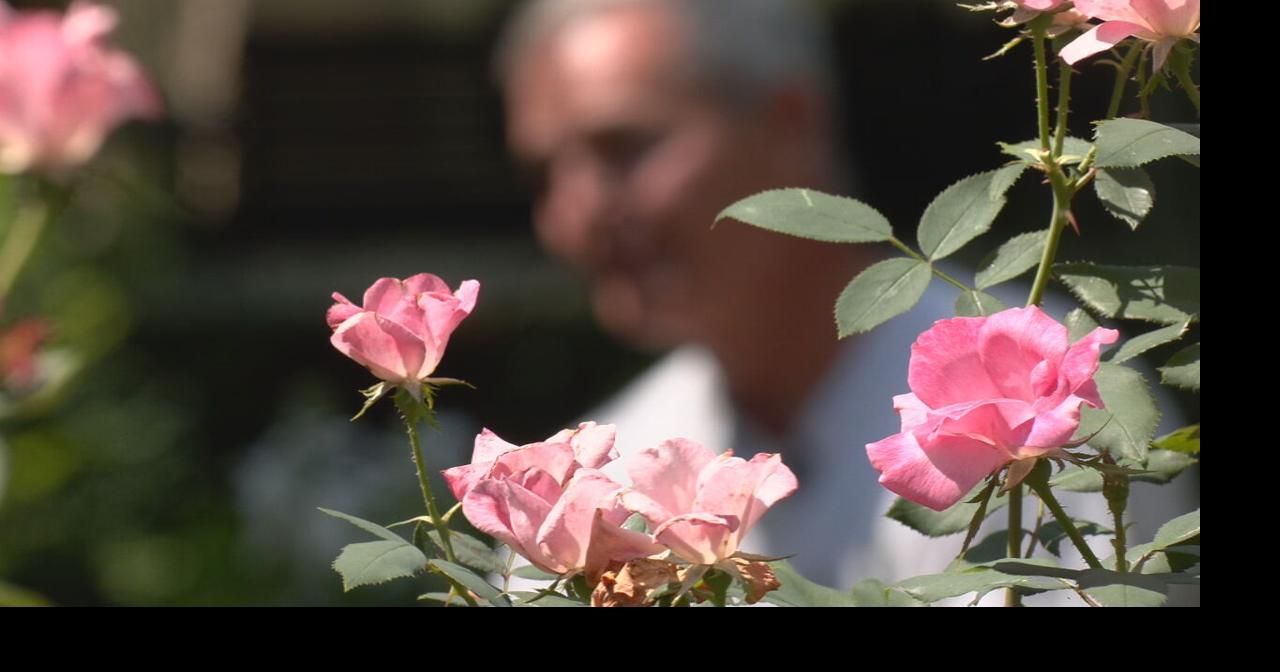 'Flower Bandit' delivers happiness to doorsteps in Audubon Park ...