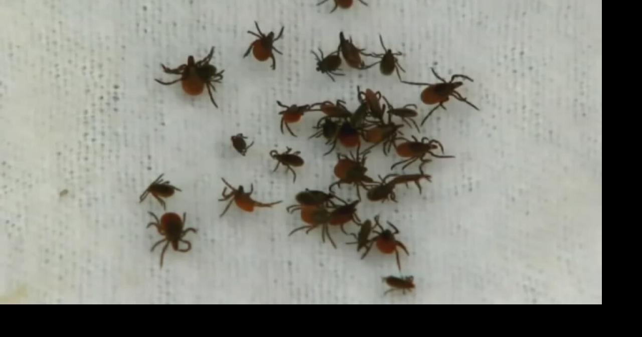 Indiana health officials reminding residents to protect themselves from ...