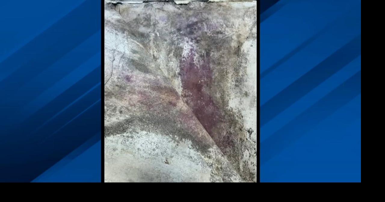 Parents of students at Ohio State University suing after mold in dorms ...