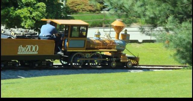 IT'S BACK: New Louisville Zoo train gets test run | Local News | wdrb.com