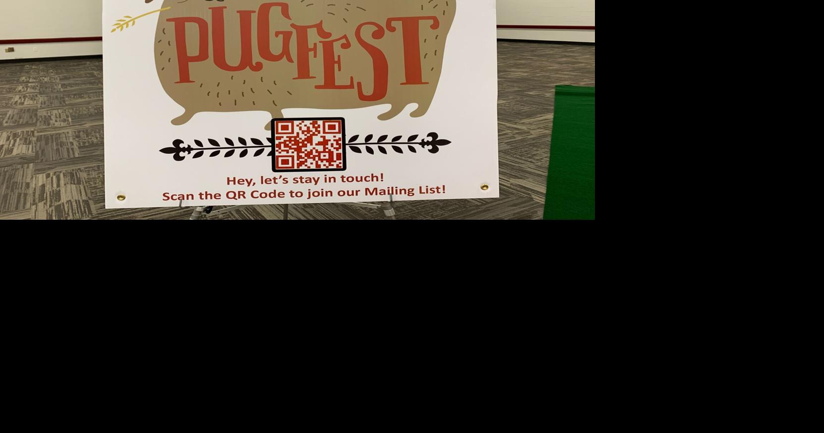 Thousands of Pugs take over Louisville at this year's PugFest | Morning ...