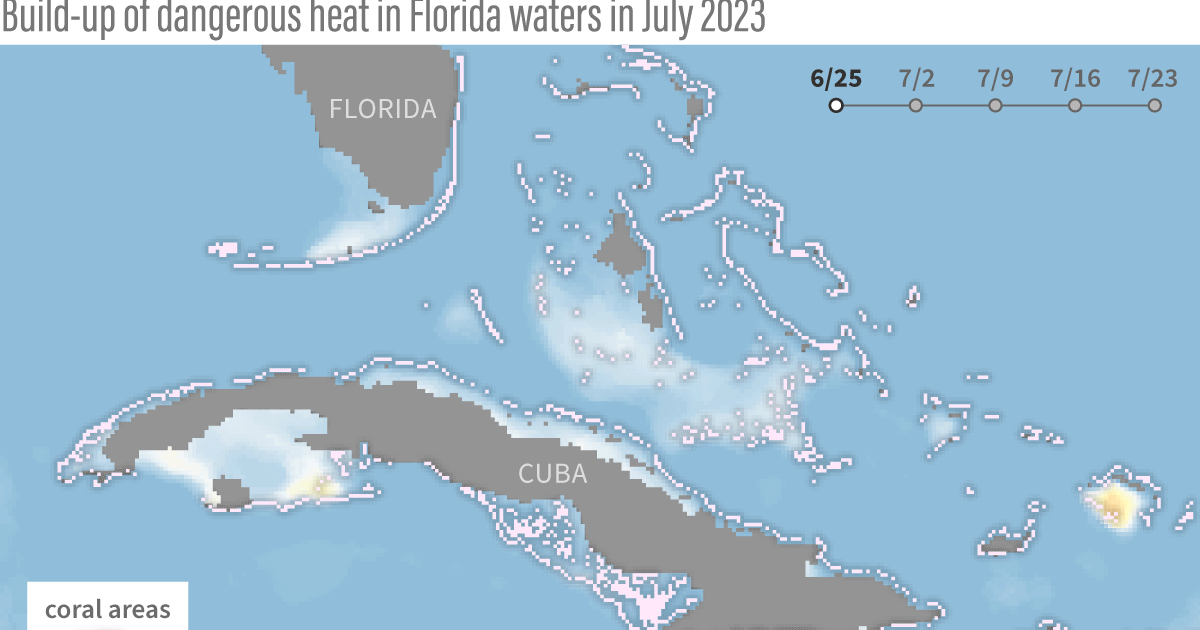 RACE TO RESCUE Remaining Florida Corals From Historic Ocean Heat Wave ...