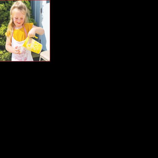 - Homemade lemonade | Community | webstercountycitizen.com