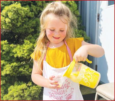 - Homemade lemonade | Community | webstercountycitizen.com