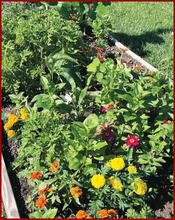 - Garden now open to public | Community | webstercountycitizen.com