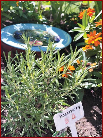 - Garden now open to public | Community | webstercountycitizen.com