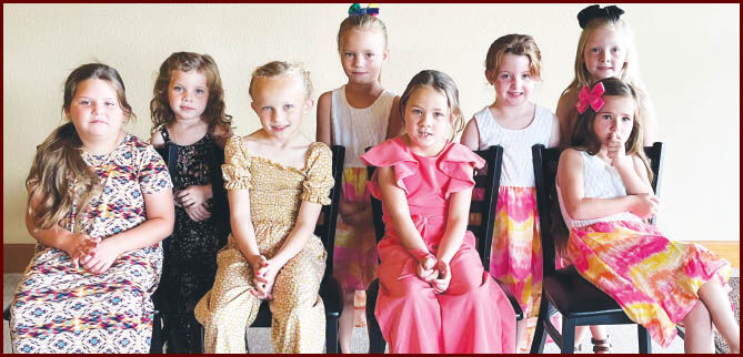 Little Miss Princess Dresses