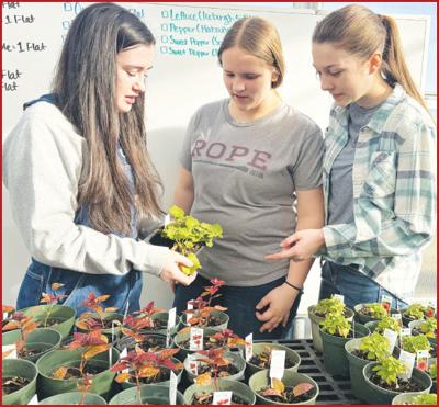 - Great week for the FFA | School | webstercountycitizen.com