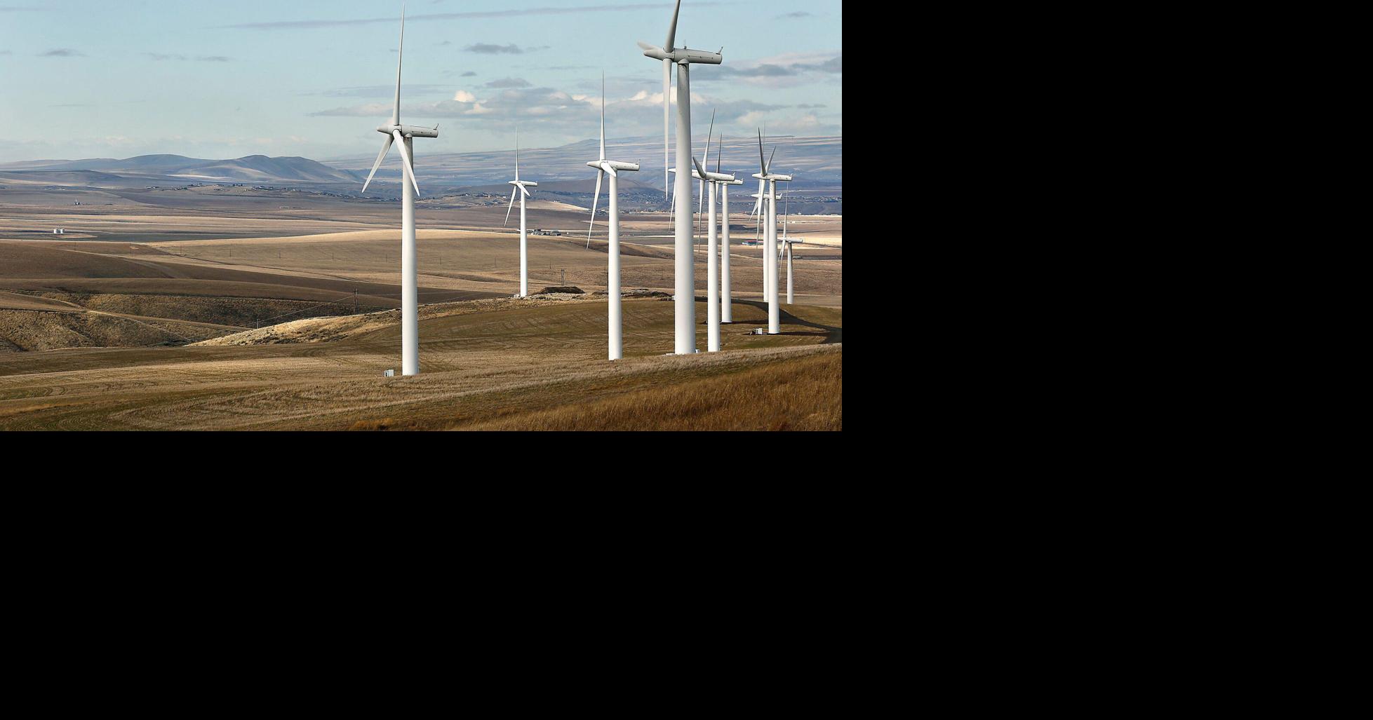 How an endangered hawk could topple plans for WA's largest wind farm ...