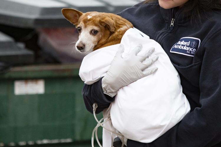 Photos: Structure Fire | Local News | wenatcheeworld.com