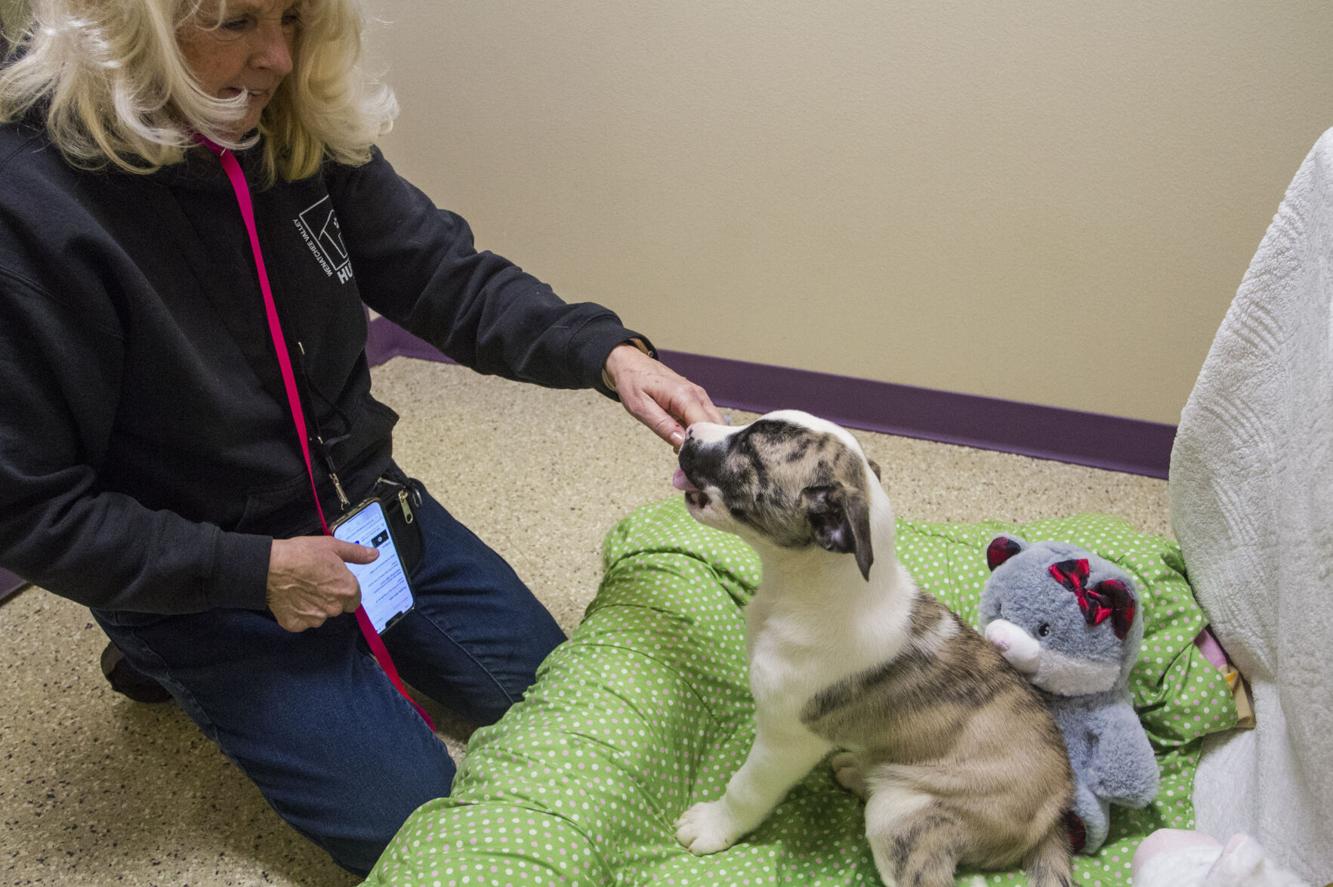 ‘Addressing pets and people together’ gives Wenatchee Valley Humane ...