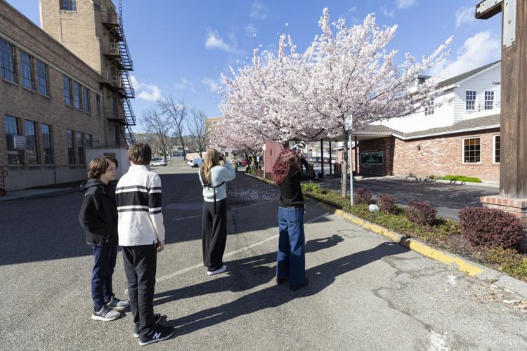 PHOTO GALLERY: Pinnacles Prep Charter School interns on assignment ...
