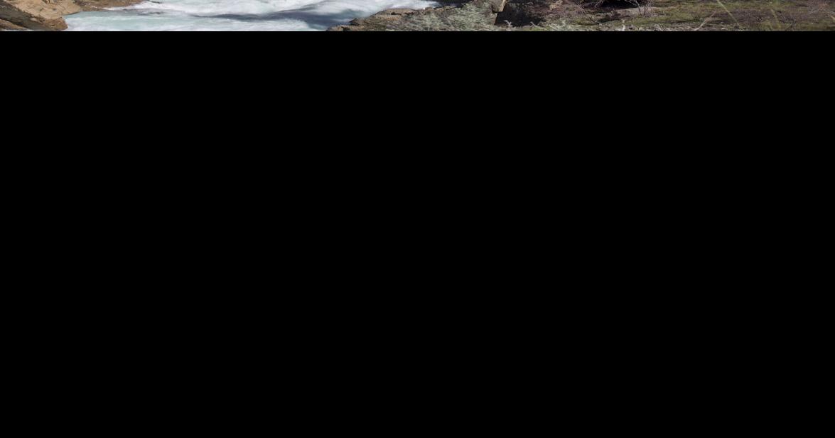 Strong flows put PUD's Chelan River habitat to the test | Local News ...