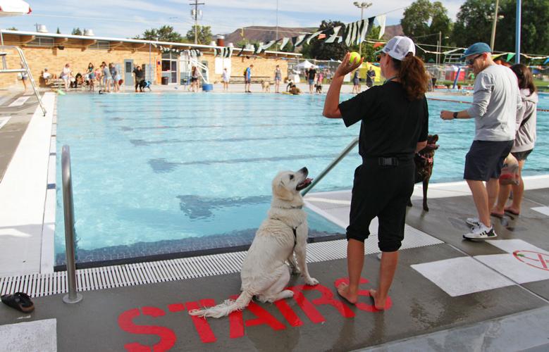 PHOTO GALLERY: Doggie Paddle Swim Day | | wenatcheeworld.com