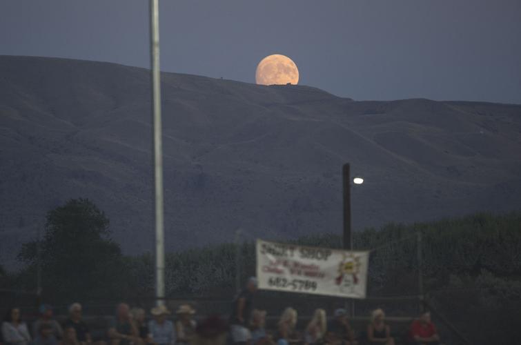 Photo Gallery: Lake Chelan Pro Rodeo | | wenatcheeworld.com