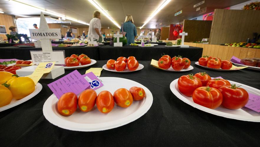 Veggies, livestock and rides, oh my! | The 71st Chelan County Fair ...
