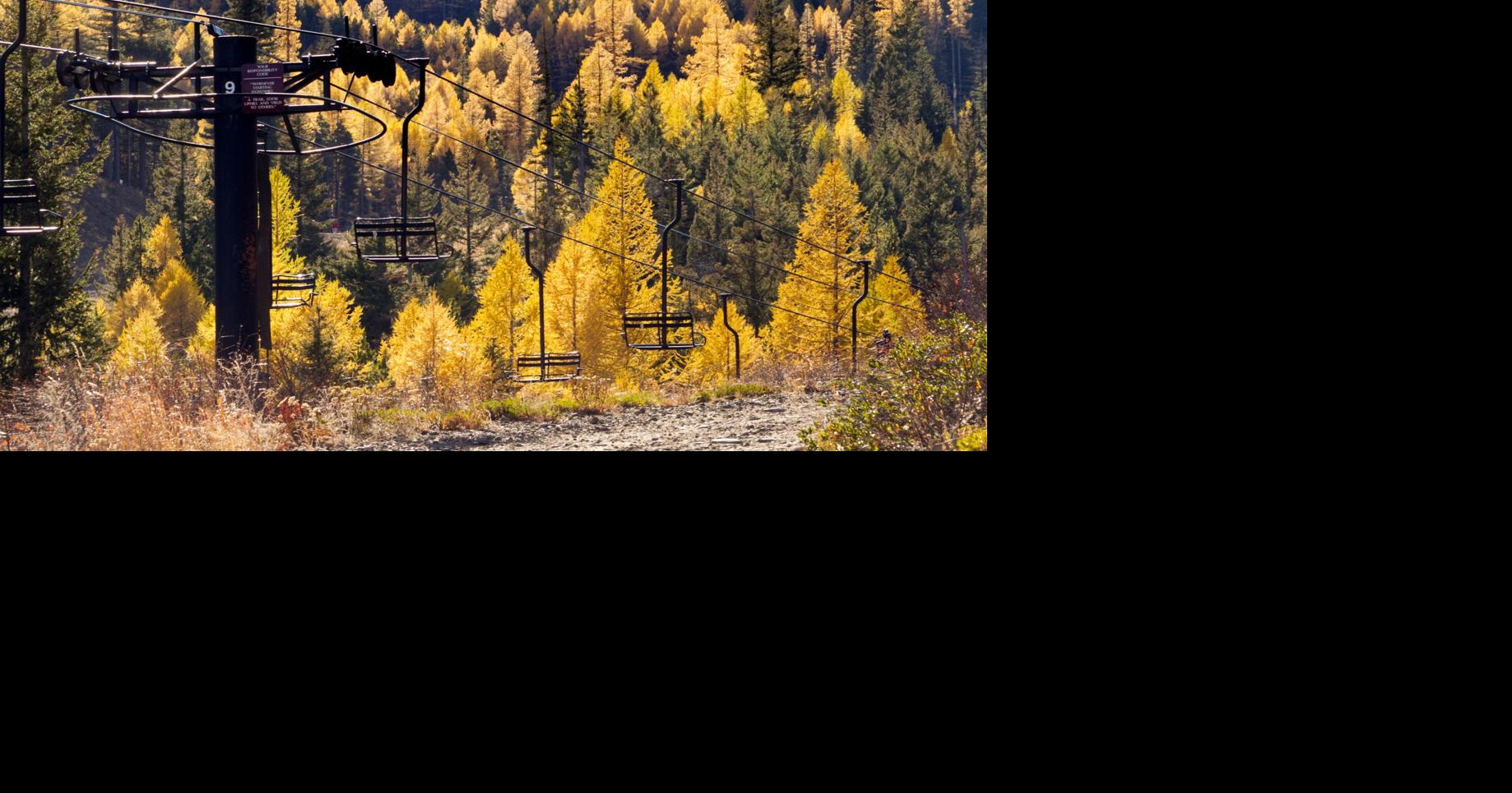 Looking for larches? We'll get you started | Here are 4 places for the ...